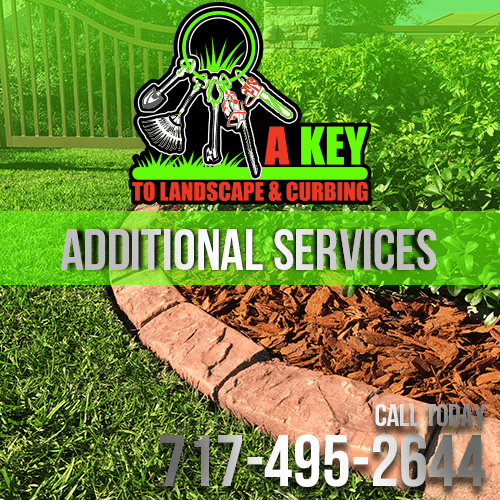 Additional Services